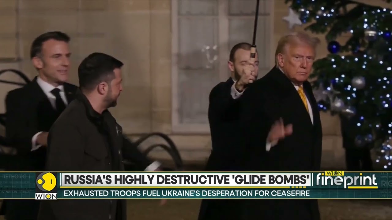 Zelensky - Desperate for Peace - Dinar Tube